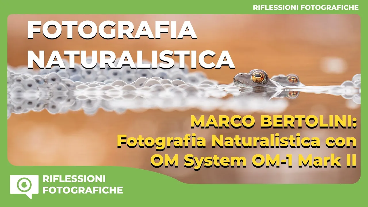 Marco Bertolini: Fotografia Naturalistica con OM System OM-1 Mark II | Escursioni e Natura - www ...
